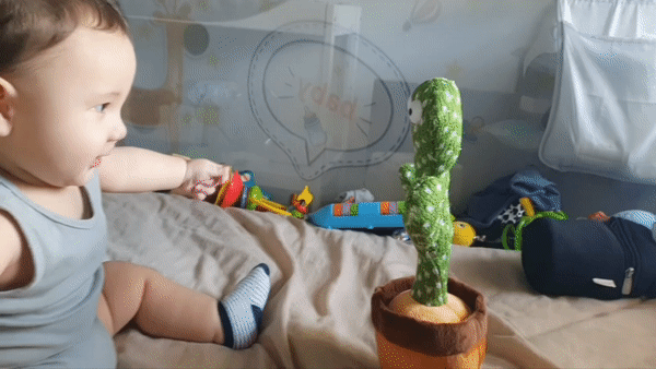 Dancing Cactus Toy Australia – Singing, Talking & Repeating Plush